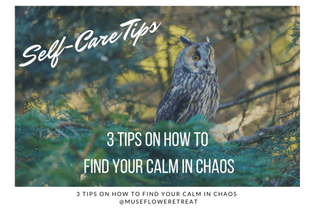 3 Tips On How To Find Your Calm in Chaos - Museflower Retreat & Spa