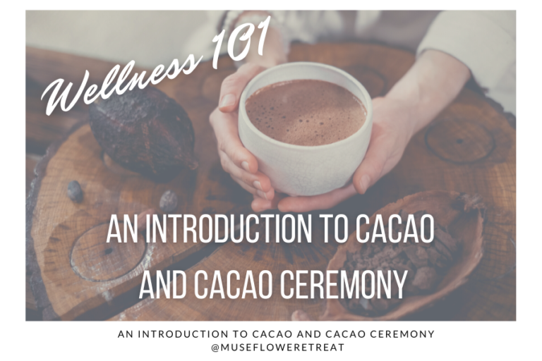 An Introduction to Cacao and Cacao Ceremony - Museflower Retreat & Spa