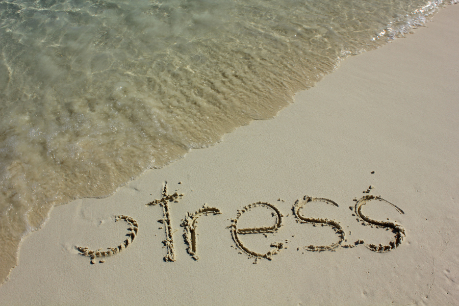 7 Ways to Heal from Stress - Museflower Retreat & Spa